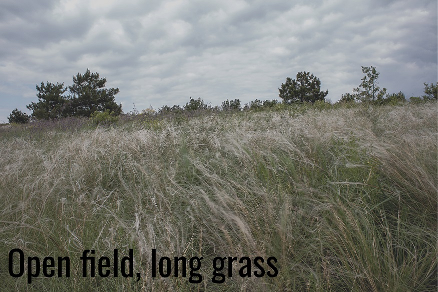 Within Her Eyes Lighting